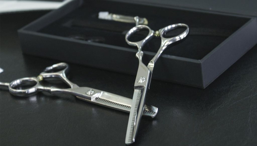 Why and how to choose professional cutting shears? - Blog Termix Spain
